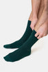 Classic Organic Sock - Emerald Green – Colorful Standard